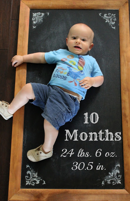 10 Month Baby Update - Dream Book Design