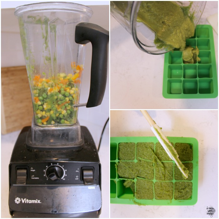 Homemade Baby Food Cubes
